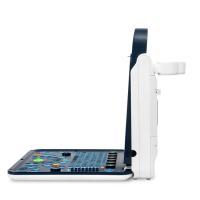 China BPU60 Portable Veterinary Color Doppler Ultrasound 15in Monitor 7.5kg Equine Bovine Canine for sale