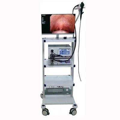 China CMD 60A Pet Veterinary Endoscope Video Gastroscope 6mm 1200mm for Animal Gastrointestinal for sale