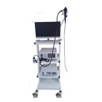 China CMD 60A Pet Veterinary Endoscope Video Gastroscope 6mm 1200mm for Animal Gastrointestinal for sale