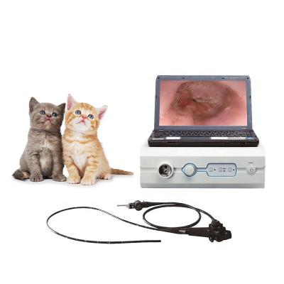 China HC-R069A Veterinary Portable Video Endoscope System 110 Degree 7.5mm for Dog Cat Pet for sale