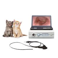 China Veterinary Portable Video Endoscope System 110 Degree 3-100mm for Dog Cat Pets for sale