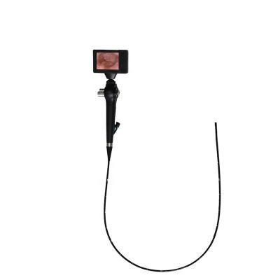 China Veterinary Portable Video Endoscope System 110 Degree 3-100mm for Dog Cat Pets for sale