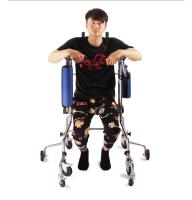China High Position Mobility Walking Aids For Disabled Carbon Steel , Portable Disabled Walking Frames for sale