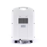China Farmasino OX-1001 Pet Oxygen Concentrator 10L Medical Grade with 93% Purity for sale