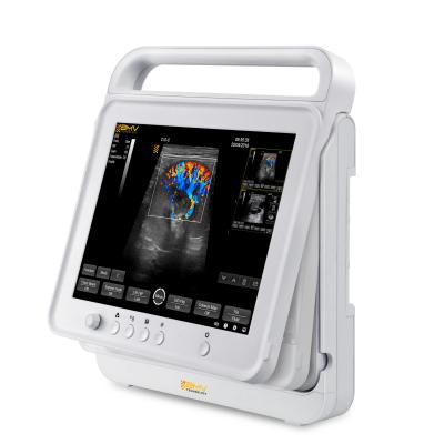 China 12MHz Handheld Veterinary Ultrasound Scanner Convex Array 15 Inch LCD for sale
