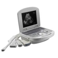 China 40mm Veterinary Ultrasound Machine 10.4in Laptop Digital B W System with Vaginal Probe for Canine Pets for sale