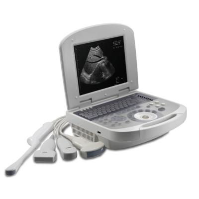 China 40mm Veterinary Ultrasound Machine 10.4in Laptop Digital B W System with Vaginal Probe for Canine Pets for sale