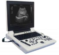 China BPU21 Veterinary Ultrasound System 2-12MHz 12.1in LED Scanner for Pets Farm Animals for sale
