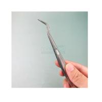 China Stainless Steel Thumb Operating Surgical Tweezers Serrated CE Certified Custom Size for sale