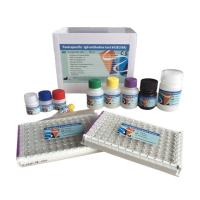 China Food Specific IgG Antibody Test Kit ELISA 16 Tests CE Certified for sale