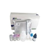 China Tumor Marker ELISA Reagent Kit AFP PSA CEA CA125 CA153 FERRITIN 96 Wells for sale