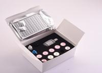 China Tumor Marker ELISA Reagent Kit AFP PSA CEA CA125 CA153 FERRITIN 96 Wells for sale