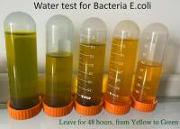China 100 Strips PLA Bacteria Test Kit PET E Coli Test Strips for Drinking Water for sale