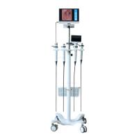 China 2.8mm 3.8mm Digital Endoscope Camera Video Digital Electronic Flexible for sale