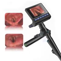 China ENT Medical Endoscope Camera Portable Multi Functional Video Laryngoscope for sale