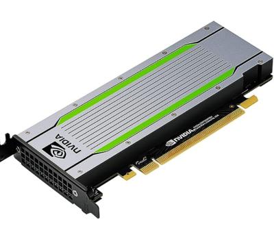 China NVIDIA T4 NV 16 GB Tensor Core GPU For AI Inference In Stock With Good Price for sale