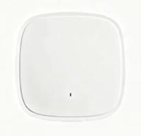 China 9120AX Access Point, Internal Antennas; Wi-Fi 6; 4x4:4 MIMO, H Domain C9120AXI-H for sale
