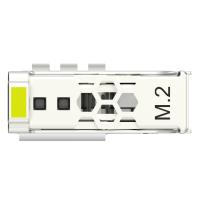 China M.2-Sata64G-B 64GB M.2 SATA Internal Solid State Drive for Industrial & PC Use for sale