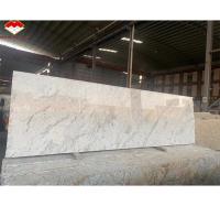China Top-Grade Andromeda White Granite Polished Slab for Residential Projects for sale