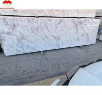 China Top-Grade Andromeda White Granite Polished Slab for Residential Projects for sale