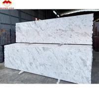 China Top-Grade Andromeda White Granite Polished Slab for Residential Projects for sale