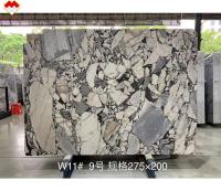 China Hot Ocean White/Black Marble Wall and Flooring Tile Design Book Match Marble Elephant White Slab for sale