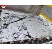 China Hotel and Home Design Big Slab Panda White Granite Black Veins Kitchen Countertops for sale