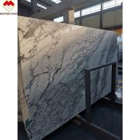 China Statuario Venato Marble Italy White Marble Arabescato Marble Stone for Vanity Top for sale