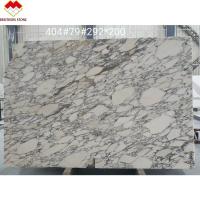 China Statuario Venato Marble Italy White Marble Arabescato Marble Stone for Vanity Top for sale