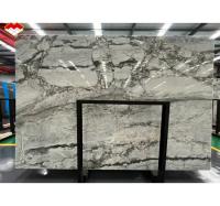 China Brazil Calacatta Grey Marble Fish Belly Gray Marble for Hotel Anti Slip Stairs Design for sale