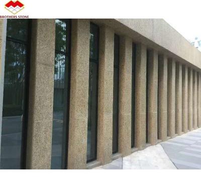 China Modern Chinese Flamed Granite for Exterior Interior Wall Cladding Cut-to-Size Big Slab for sale