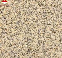 China Modern Chinese Flamed Granite for Exterior Interior Wall Cladding Cut-to-Size Big Slab for sale