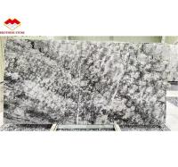 China Graphic Design Natural Stone Italian Silver Fir Marble Floor Tile for Living Room for sale