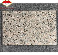 China 2800kg/m3 Density Chinese Granite Stone Polished for Modern Big Slab Natural Cut-to-Size for sale