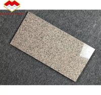 China 2800kg/m3 Density Chinese Granite Stone Polished for Modern Big Slab Natural Cut-to-Size for sale