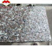 China Polished Chinese Granite Stone Name Pink Porino G664 Cut-to-Size Slab for Your Budget for sale