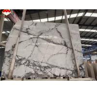China Polished Arabescato White Italian Marble Slab for Modern Wall and Round Dining Table for sale