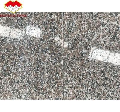 China Modern G664 Suppliers Granite Slabs 60x60 Porrno Granite Tiles for Park Graphic Designs for sale