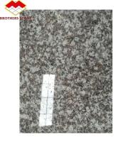 China Modern G664 Suppliers Granite Slabs 60x60 Porrno Granite Tiles for Park Graphic Designs for sale