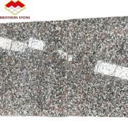 China Modern G664 Suppliers Granite Slabs 60x60 Porrno Granite Tiles for Park Graphic Designs for sale