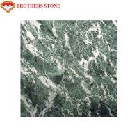 China Professional Verde Issogne Marble Slab Stone , Interior Marble Floor Tile for sale
