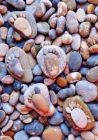 China Rock Footmark Small Cobblestones For Garden Cute Sidewalk Backyard for sale