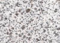 China Natural Popular Camellia White G603 Granite For Floor Tile And Stairs for sale