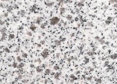 China Natural Popular Camellia White G603 Granite For Floor Tile And Stairs for sale