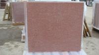 China Red Color Rough Granite Kitchen Countertop Floor Tiles 50x50 Slab 2.73 g/cm3 for sale