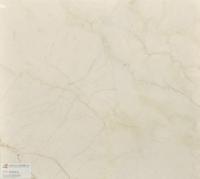 China Sofitel Gold Elegant 60*60 1.5cm Marble Stone Slab for sale