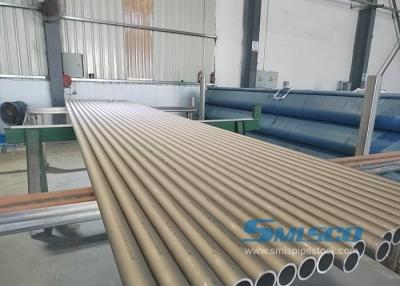 China EN 10216-5 1.4404 TP316L Seamless Pressure Tubing for Pressure Vessels and Heat Exchangers for sale
