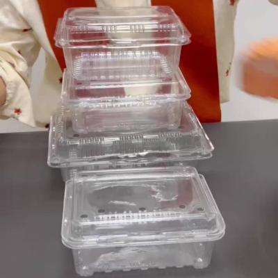 China Customizable Disposable bowl with different material options suitable for various fruits and vegetables for sale