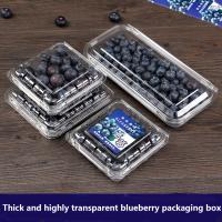 China Blueberry box Disposable bowl designed for supermarket/fruit store packaging with transparent PET material for sale