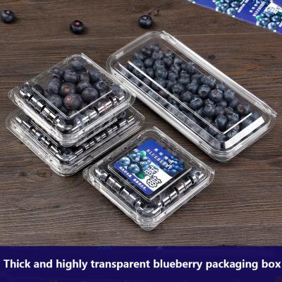 China Blueberry box Disposable bowl designed for supermarket/fruit store packaging with transparent PET material for sale